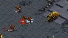 [ASL Season 3 박지호(P) vs 김경모(Z)] 아프리카TV 스타리그 24강 E조 승자전 | SOOP VOD