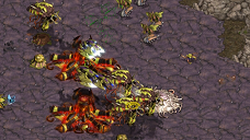 [ASL Season 4 조일장(Z) vs 김윤중(P)] 아프리카TV 스타리그 24강 F조 승자전 | SOOP VOD